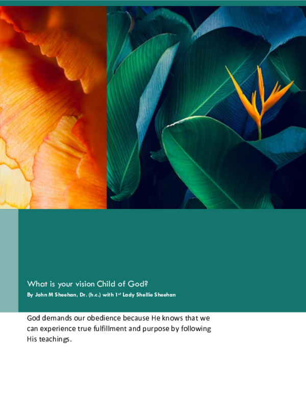 (PDF) What is your vision Child of God? | John M Sheehan - Academia.edu