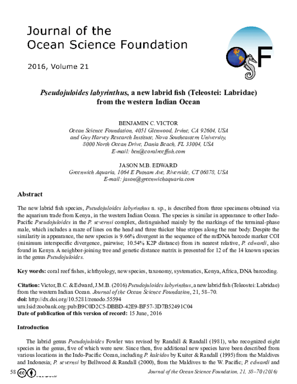(PDF) Pseudojuloides labyrinthus, a new labrid fish (Teleostei ...