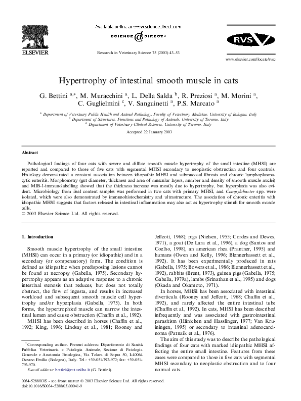 (PDF) Hypertrophy of intestinal smooth muscle in cats