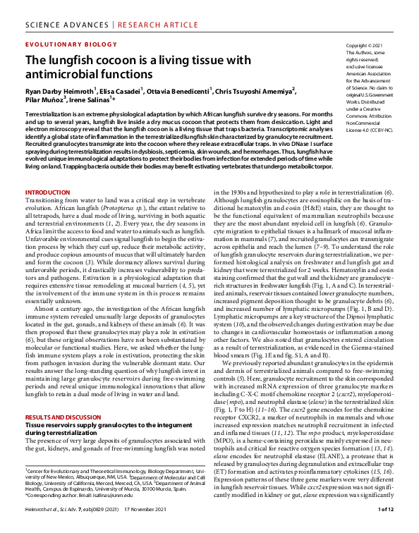 (PDF) The lungfish cocoon is a living tissue with antimicrobial functions