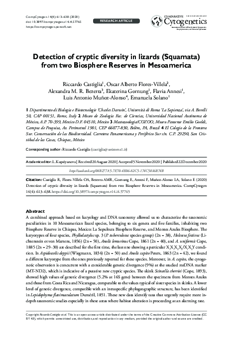 (PDF) Detection of cryptic diversity in lizards (Squamata) from two ...