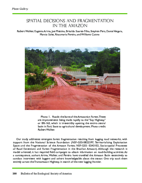 (PDF) Spatial Decisions and Fragmentation in the Amazon