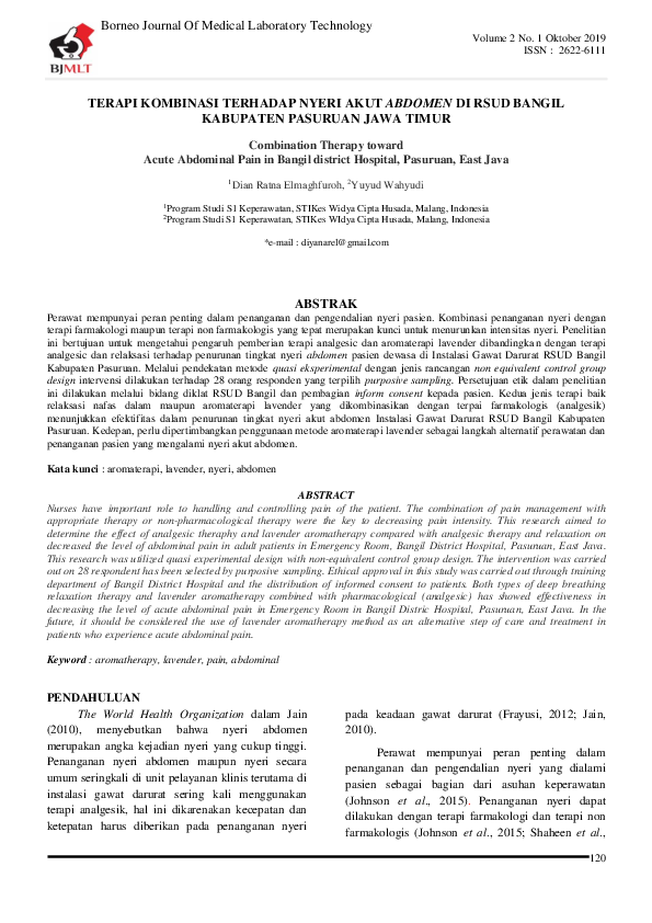(PDF) Terapi Kombinasi Terhadap Nyeri Akut Abdomen di RSUD Bangil Kabupaten Pasuruan Jawa Timur ...