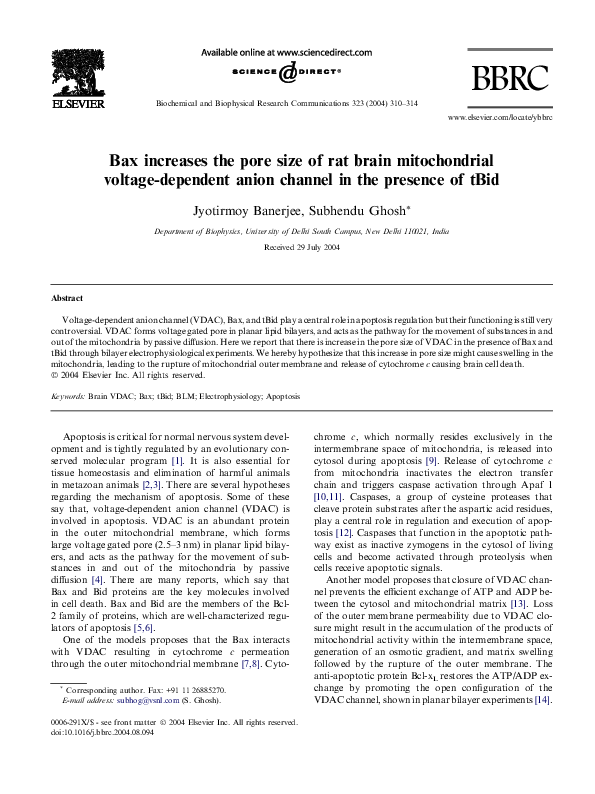 (PDF) Bax increases the pore size of rat brain mitochondrial voltage ...