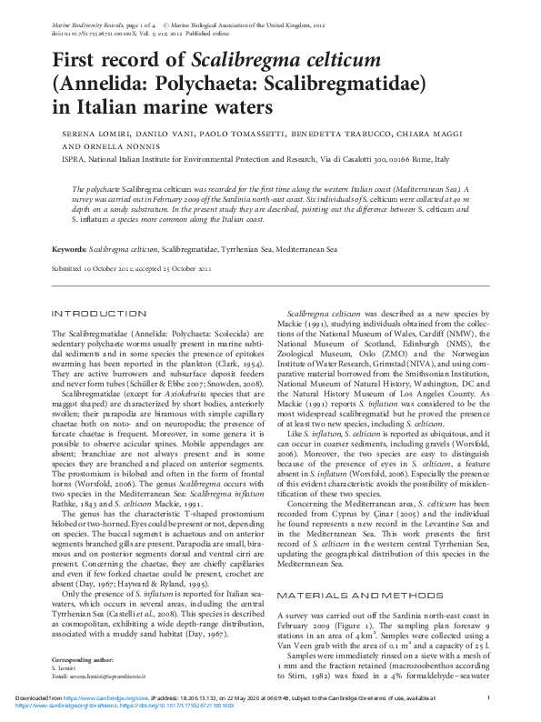 (PDF) First record of Scalibregma celticum (Annelida: Polychaeta ...