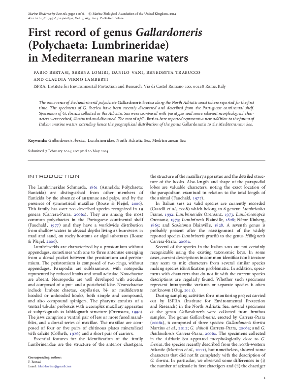 (PDF) First record of genus Gallardoneris (Polychaeta: Lumbrineridae ...