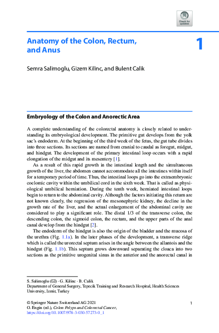 (PDF) Anatomy of the Colon, Rectum, and Anus