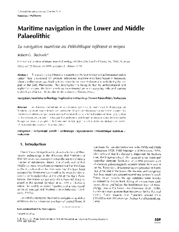(PDF) Maritime navigation in the Lower and Middle Palaeolithic