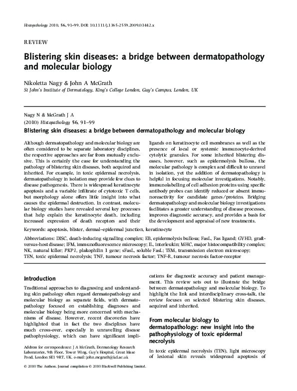 (PDF) Blistering skin diseases: a bridge between dermatopathology and ...