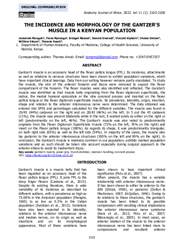 (PDF) The incidence and morphology of the Gantzer’s muscle in a Kenyan ...