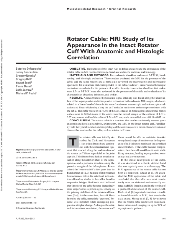 (PDF) Rotator Cable: MRI Study of Its Appearance in the Intact Rotator ...