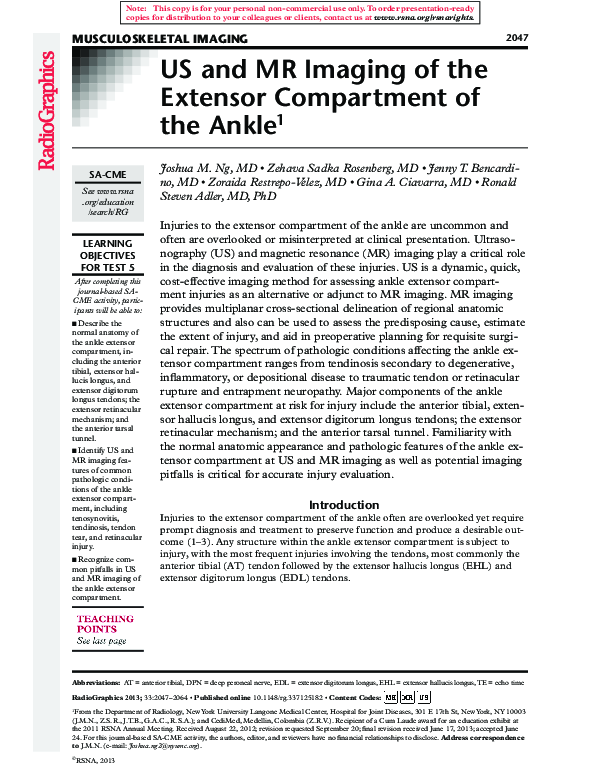(PDF) US and MR Imaging of the Extensor Compartment of the Ankle
