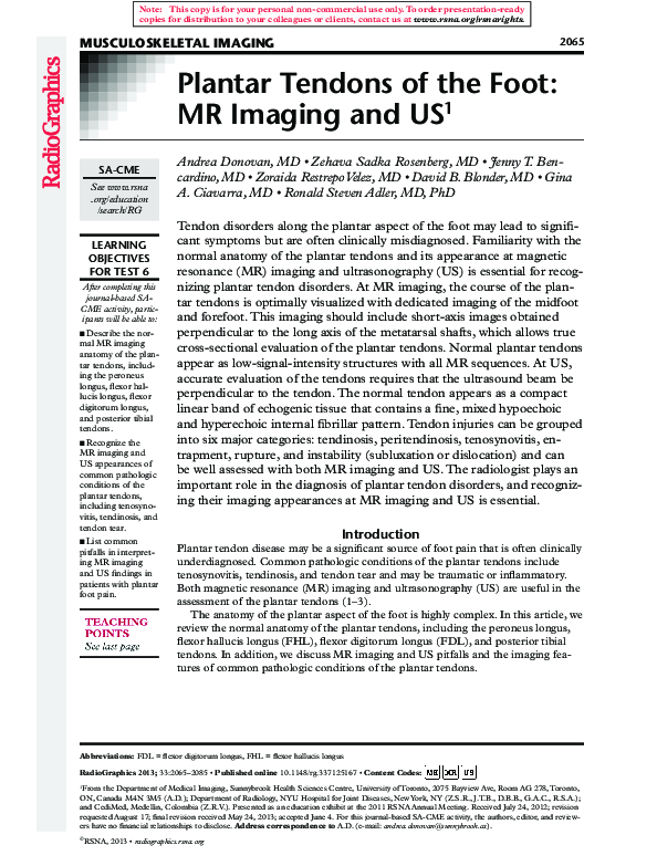 (PDF) Plantar Tendons of the Foot: MR Imaging and US | Jenny Bencardino ...