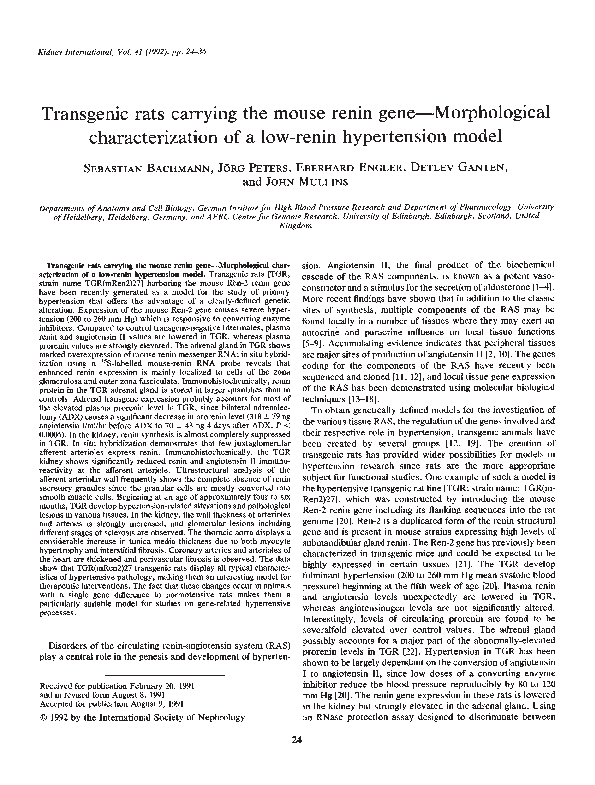 (PDF) Transgenic rats carrying the mouse renin gene—Morphological ...
