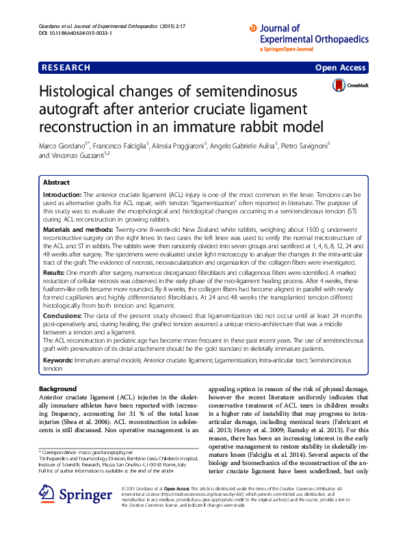 (PDF) Histological changes of semitendinosus autograft after anterior ...