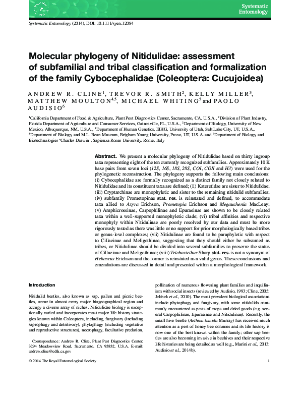 (PDF) Molecular phylogeny of Nitidulidae: assessment of subfamilial and ...