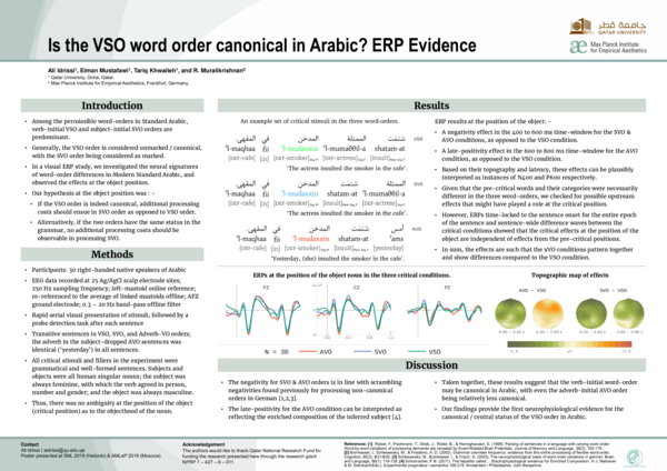 (PDF) Canonical VSO Word Order in Arabic: ERP Evidence