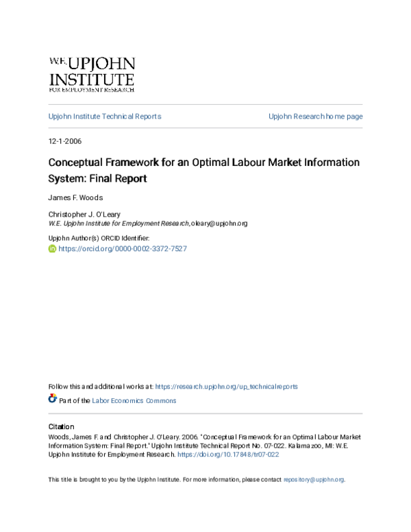 (PDF) Conceptual Framework for an Optimal Labour Market Information System: Final Report
