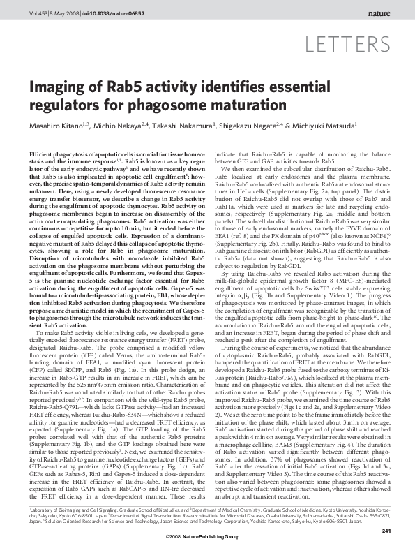 (PDF) Imaging of Rab5 activity identifies essential regulators for ...