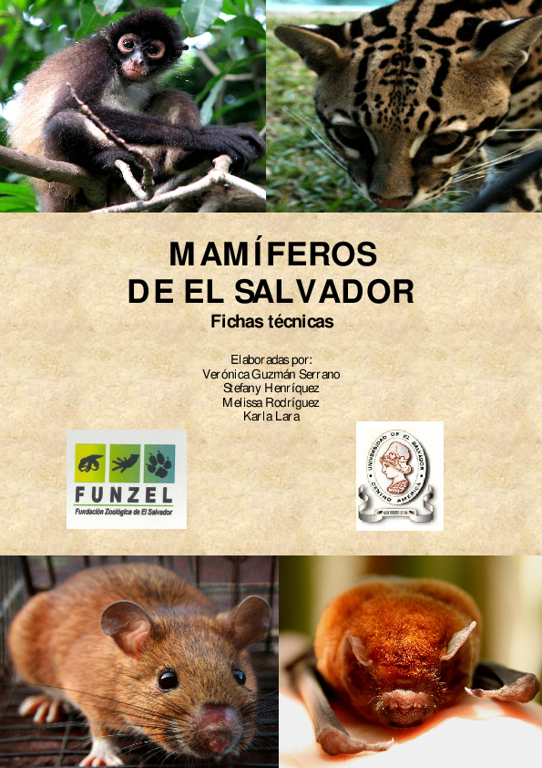 (PDF) MAMÍFEROS DE EL SALVADOR