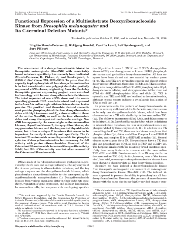 Pdf Functional Expression Of A Multisubstrate Deoxyribonucleoside
