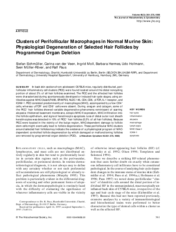 (PDF) Clusters of Perifollicular Macrophages in Normal Murine Skin ...