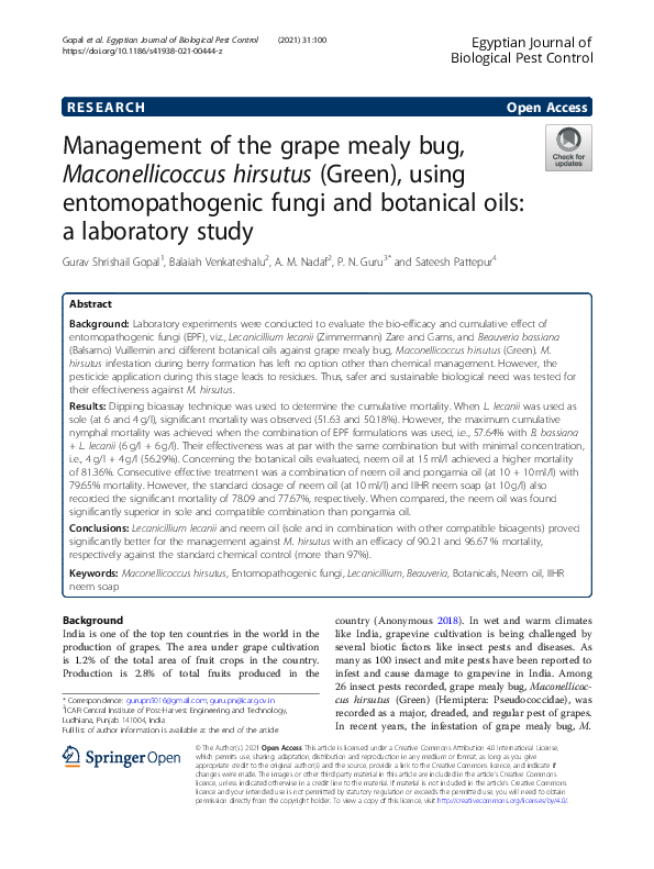(PDF) Management of the grape mealy bug, Maconellicoccus hirsutus ...