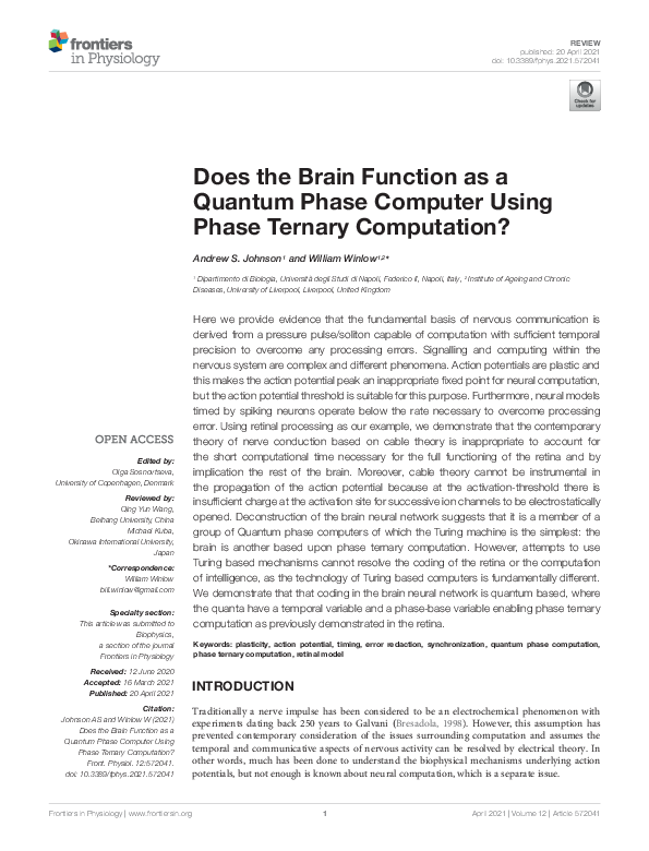 (PDF) Does the Brain Function as a Quantum Phase Computer Using Phase Ternary Computation