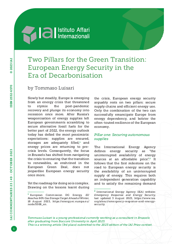 (PDF) Two Pillars for the Green Transition: European Energy Security in the Era of Decarbonisation