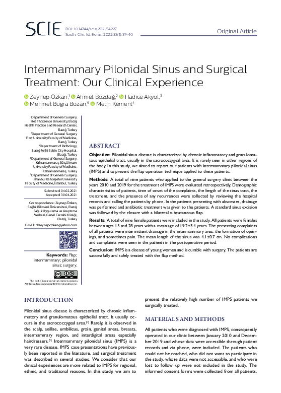 (PDF) Intermammary Pilonidal Sinus and Surgical Treatment: Our Clinical ...