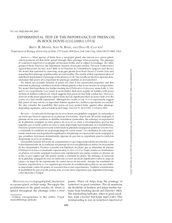 (PDF) Experimental Test of the Importance of Preen Oil in Rock Doves ...