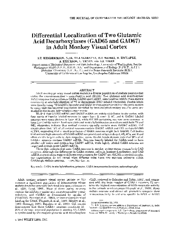 (PDF) Differential localization of two glutamic acid decarboxylases (GAD65 and GAD67) in adult ...