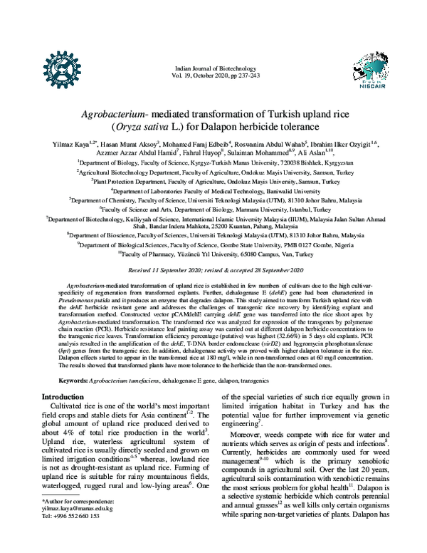 (PDF) Agrobacterium- mediated transformation of Turkish upland rice ...