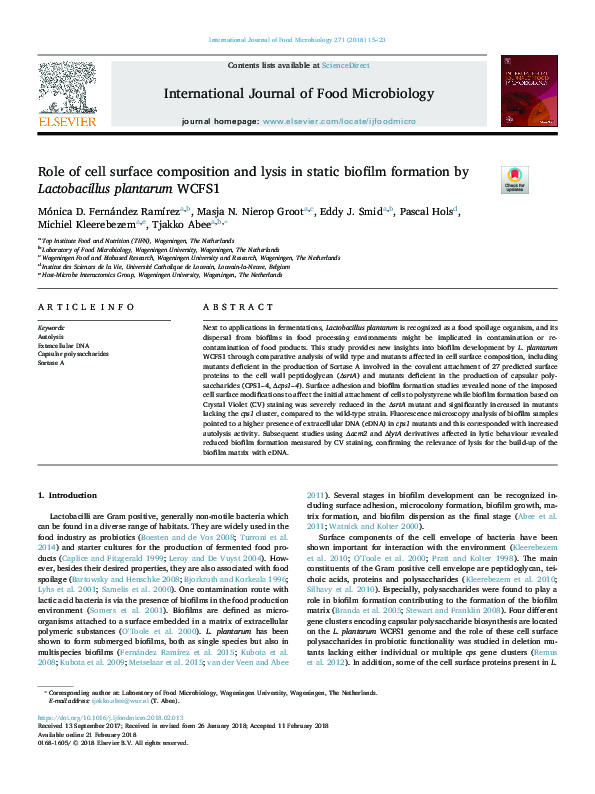 (PDF) Role of cell surface composition and lysis in static biofilm ...