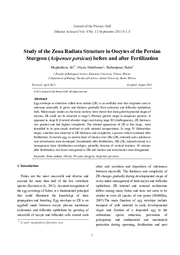 (PDF) Study of the Zona Radiata Structure in Oocytes of the Persian ...