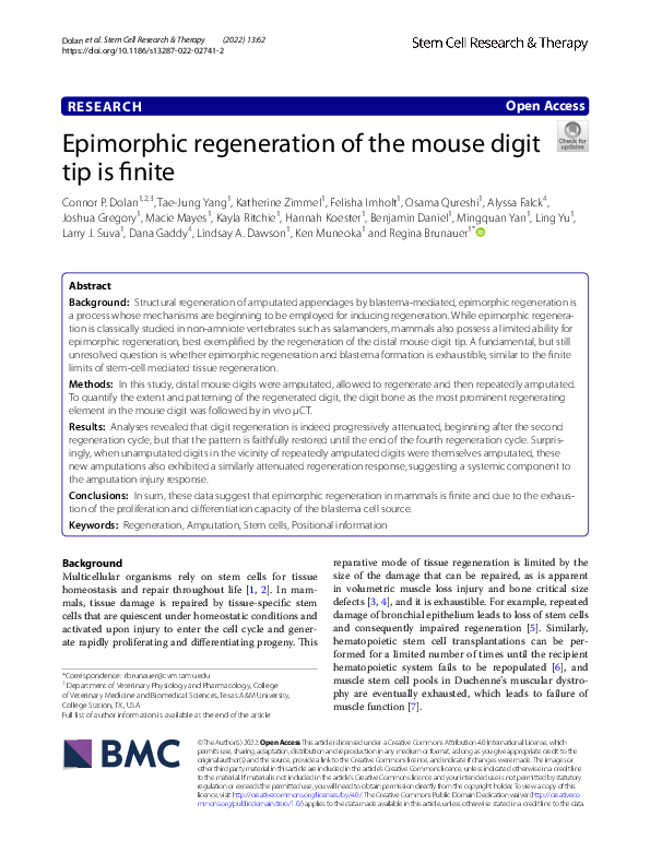 (PDF) Epimorphic regeneration of the mouse digit tip is finite