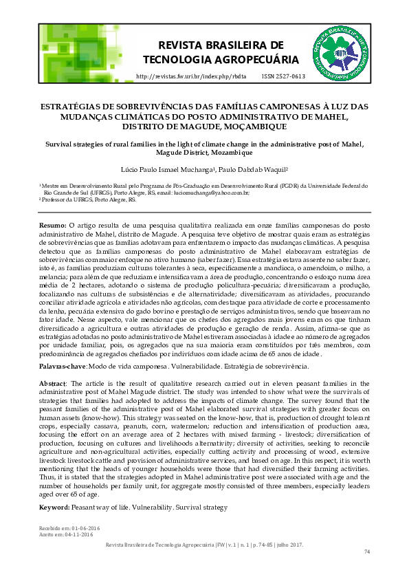 (PDF) Estratégias De Sobrevivências Das Famílias Camponesas À Luz Das ...