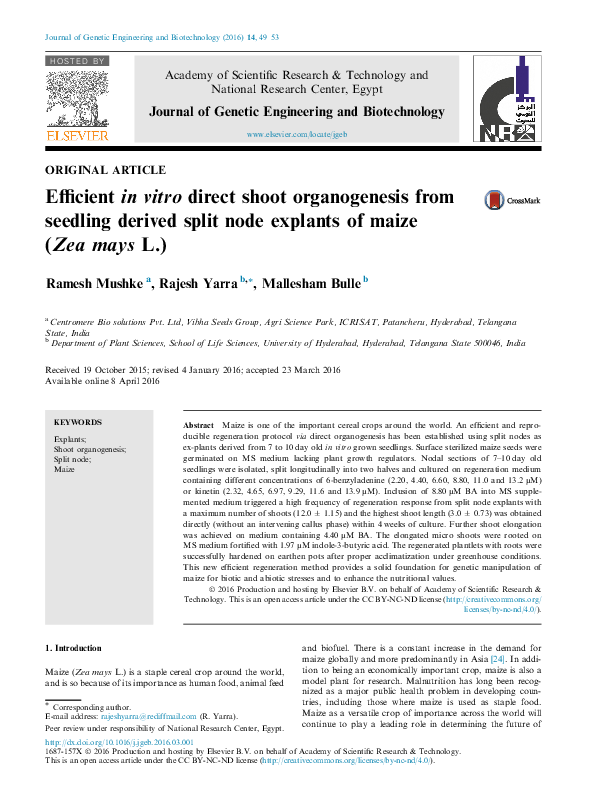 (PDF) Efficient in vitro direct shoot organogenesis from seedling ...