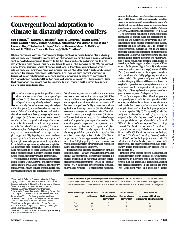 (PDF) Convergent local adaptation to climate in distantly related conifers