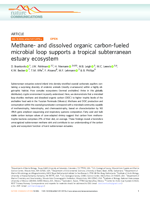 (PDF) Methane- and dissolved organic carbon-fueled microbial loop ...