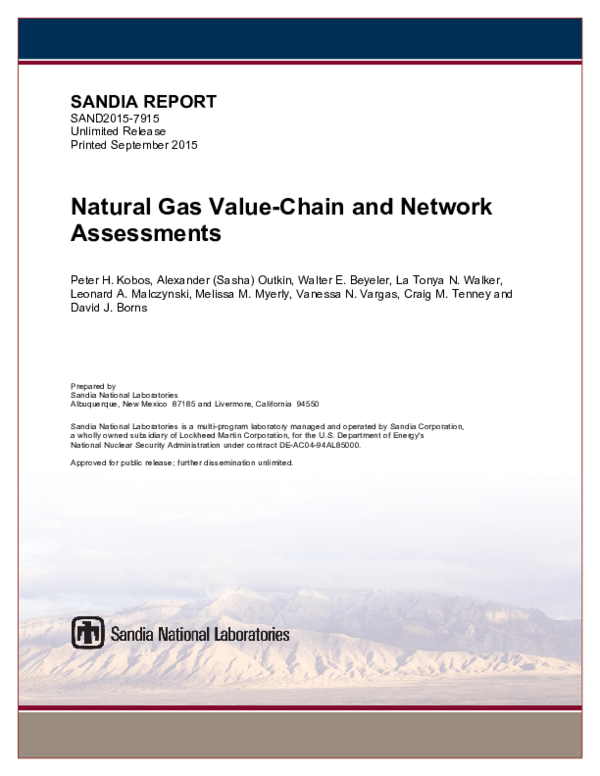 (PDF) Natural Gas Value-Chain and Network Assessments