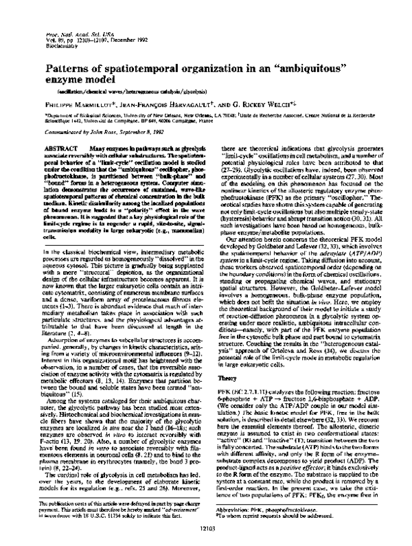 (PDF) Patterns of spatiotemporal organization in an "ambiquitous ...