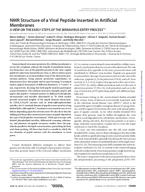 (PDF) NMR Structure of a Viral Peptide Inserted in Artificial Membranes ...