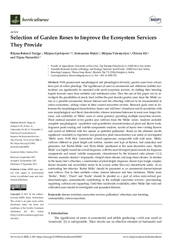 (PDF) Selection of Garden Roses to Improve the Ecosystem Services They ...