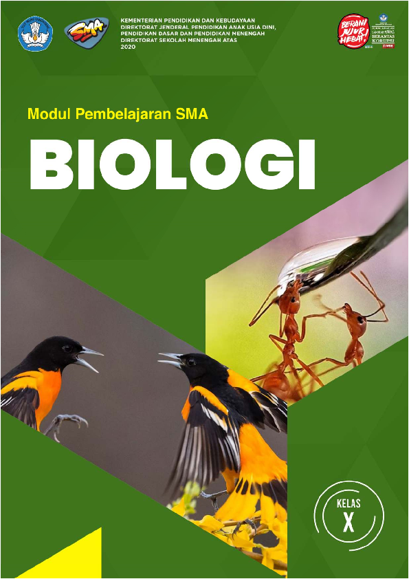 (PDF) MODUL BIOLOGI KELAS 10 - EKOSISTEM