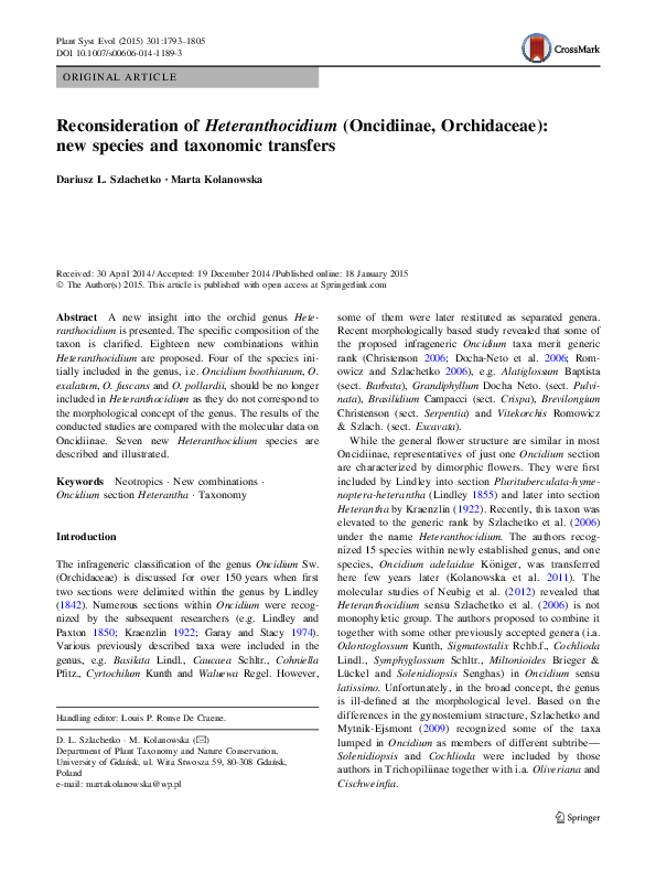 (PDF) Reconsideration of Heteranthocidium (Oncidiinae, Orchidaceae ...