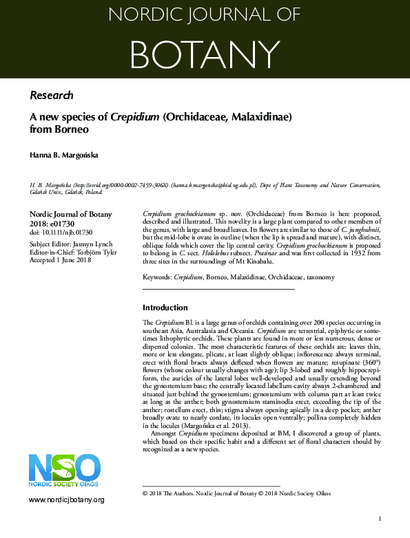 (PDF) A new species of Crepidium (Orchidaceae, Malaxidinae) from Borneo