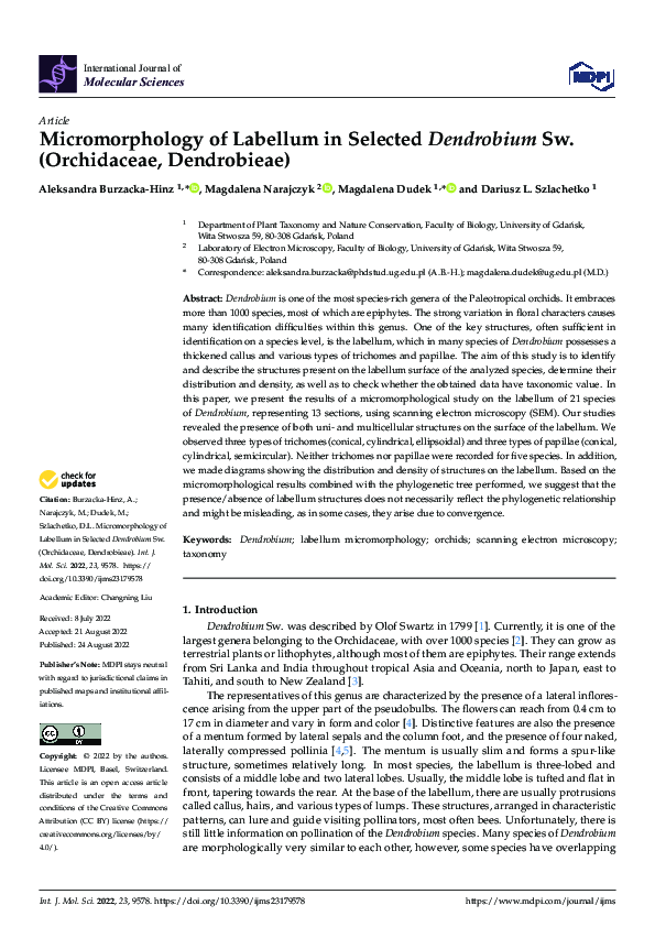 (PDF) Labellum Micromorphology in Dendrobium Orchids