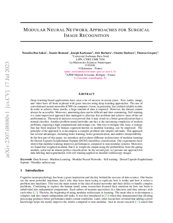 Pdf Modular Neural Network Approaches For Surgical Image Recognition
