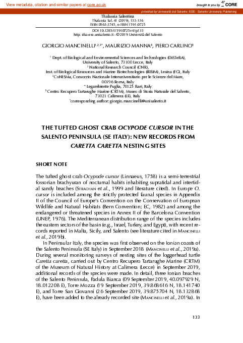 (PDF) The tufted ghost crab Ocypode Cursor in the Salento Peninsula (SE ...
